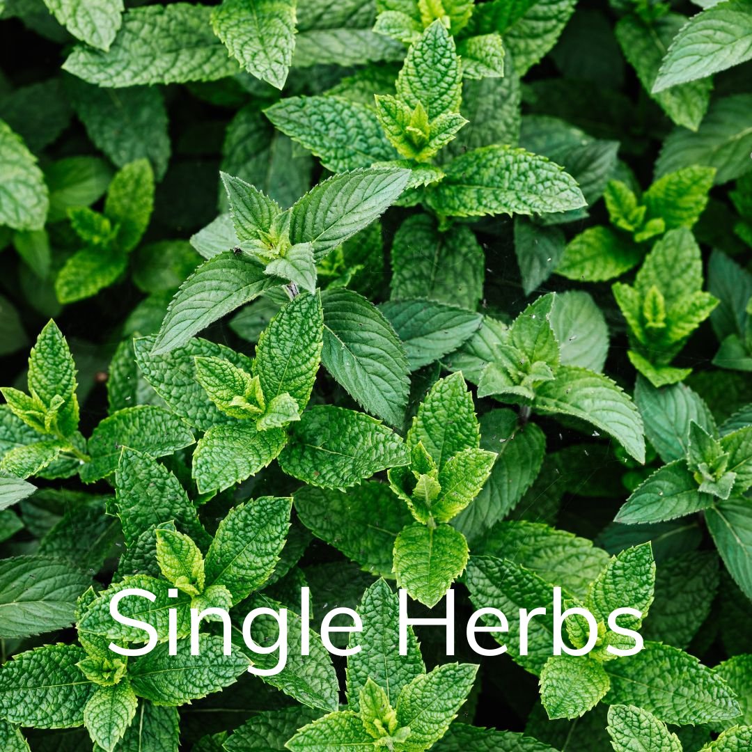 Single Herbs | Woodland Creek Herbs